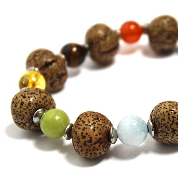 Rattan palm seed - Ivory Palm Seed